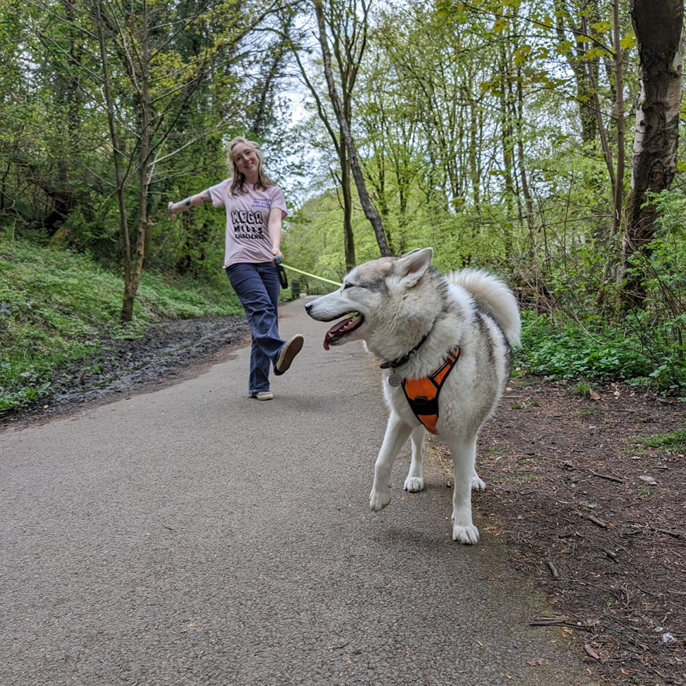 10 reasons to love walking this May from the Ramblers | Charity for ...